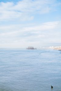 The Brighton City Guide – The Anna Edit