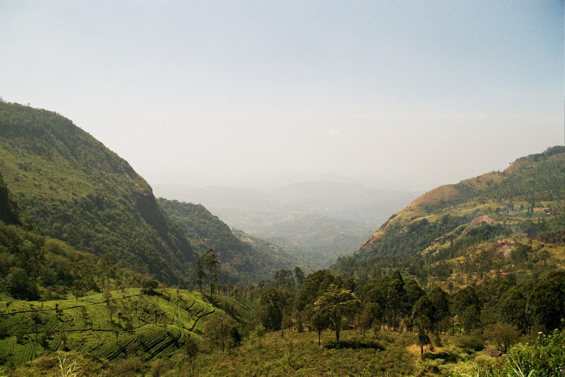 The Sri Lanka Travel Guide – The Anna Edit